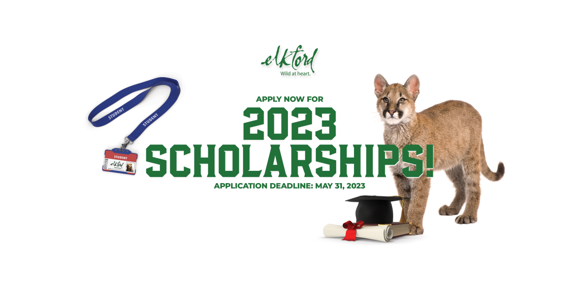 APPLY NOW: District of Elkford 2023 Scholarships! | District of Elkford